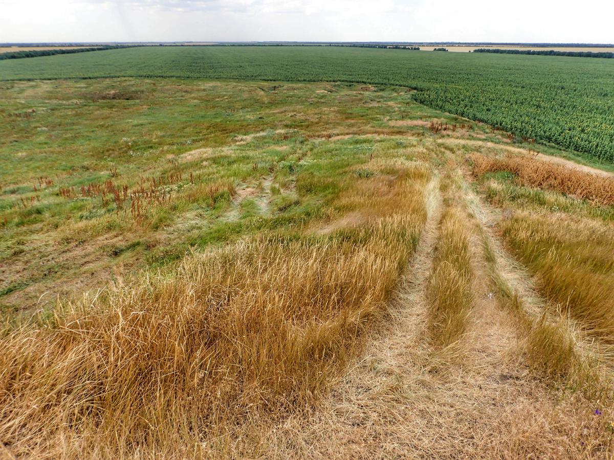 The Largest Kurgan (Burial Mound) in Ukraine - Ukraine Inside Out